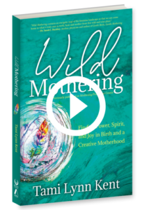 Books by Tami Lynn Kent: Women's Health Expert | Wild Feminine